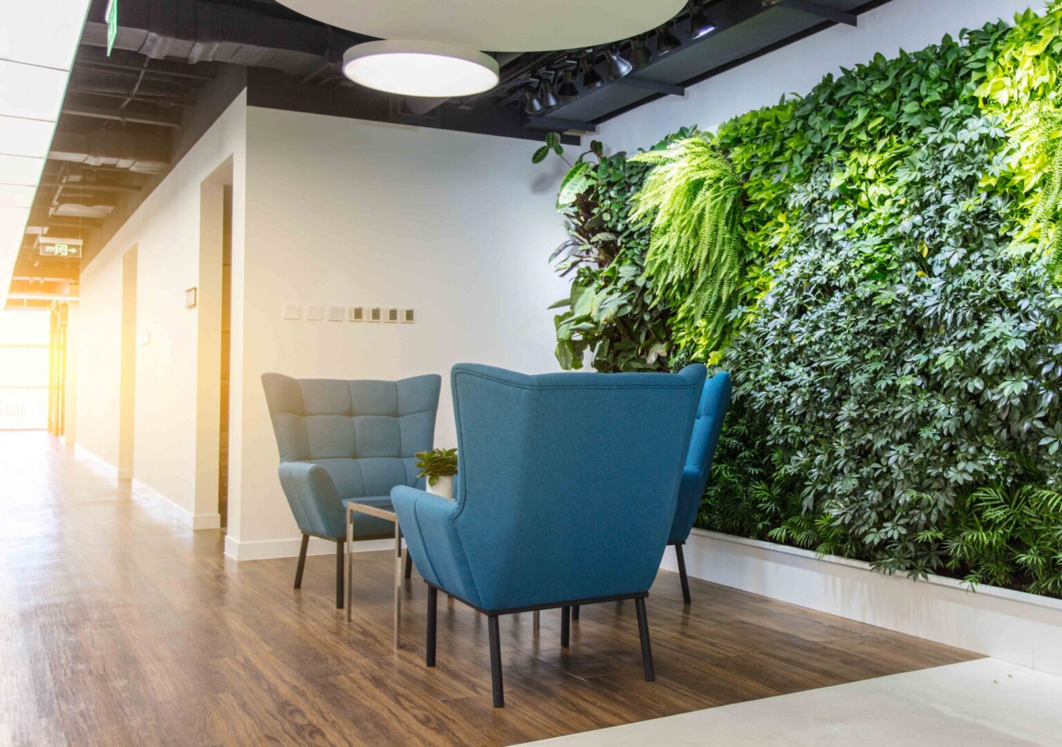What is Biophilic Design? Meaning, Benefits & Examples